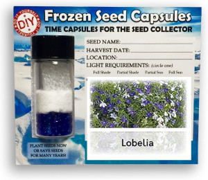 CYBEXIS Lobelia-50 Seeds Seed Price in India - Buy CYBEXIS Lobelia-50 ...