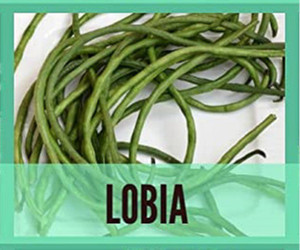 CYBEXIS Organic Lobia/Long Beans Seeds200 Seeds Seed Price in India ...