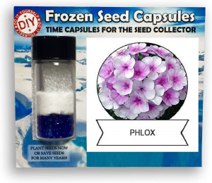 Qualtivate ™ Phlox Frozen Seeds Time Capsule(50 Seeds) Seed Price in ...