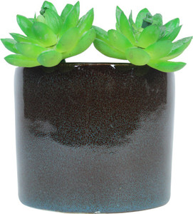 WONDERLAND Ceramic Grey Small Pot ( table top size, for real plants ...