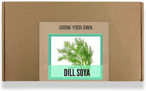 CYBEXIS Fast Germination Dill Soya Seeds-350 Seeds Seed Price in India ...
