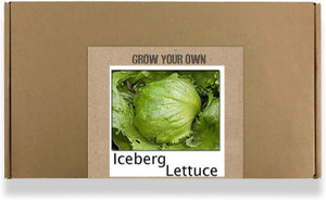 Qualtivate ™ Fast Germination Iceberg Lettuce Seeds(125 Seeds) Seed ...