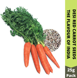 Gennext Carrot Seeds Desi Red, Gazar Seed Price in India - Buy Gennext ...