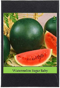 PEARL ™ Heirloom Water Melon Sugar baby Seeds(150 Seeds) Seed Price in ...