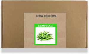 CYBEXIS Fast Germination Semphali Seeds800 Seeds Seed Price in India ...