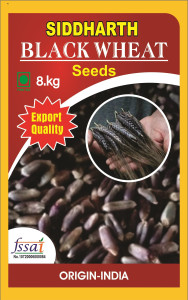 SIDDHARTH FISH FARM Black Wheat I Sharbati Wheat I Anti oxidant I Whole ...