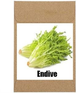 CYBEXIS Guarenteed Germination Endive Seeds-250 Seeds Seed Price in ...