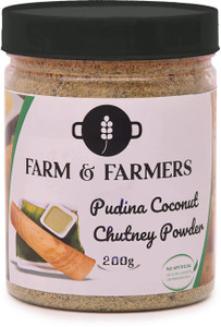 Farm & Farmers South Indian Instant Pudina (Mint) Coconut Chutney ...