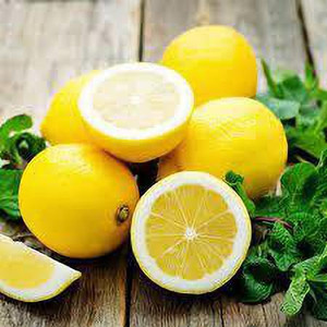 Nodoc Nimbu Seed Price in India - Buy Nodoc Nimbu Seed online at ...