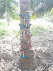 sbi manually tree climbing 2001 Climbing Hold Price in India - Buy sbi ...