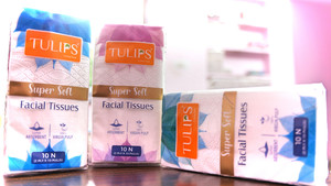 TULIP POCKET 2 PLY TISSUE 10 PULLS PACK OF 6 - Price in India, Buy ...