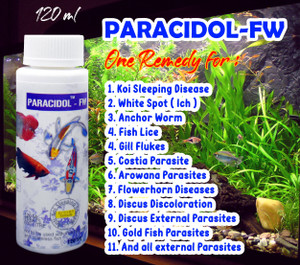 AQUATIC REMEDIES Paracidol FW 120ml Aquatic Plant Fertilizer Price in ...
