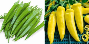 xcentax Chilli, Lady Finger Seed Price in India - Buy xcentax Chilli ...
