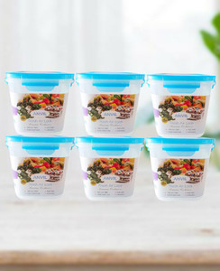 Anvil Plastic Fridge Container - 1000 ml Price in India - Buy Anvil ...