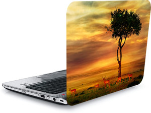 Large VINYL QTH DYNAMIC DESIGN LAPTOP STICKER 15.5 Inch Price in India ...