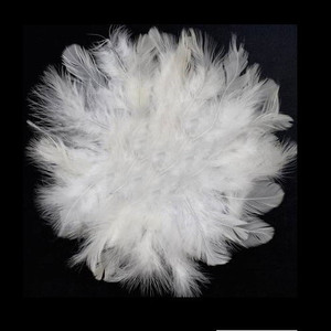 Adhvik Natural Dyed White Multi-Purpose Craft Feathers (Approximately ...