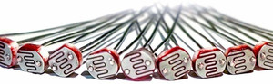 Aktronics Light Dependent Resistor LDR 5MM Photoresistor ...