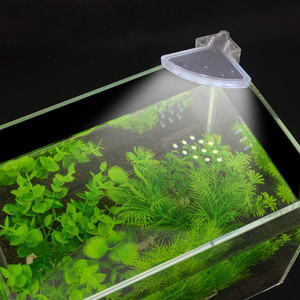Venus Aqua White LED Aquarium Light Price in India - Buy Venus Aqua ...