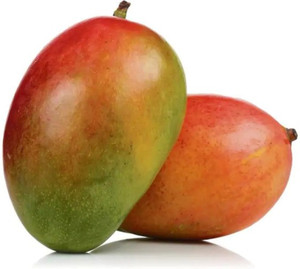 Ukaanda Mango Plant Price in India - Buy Ukaanda Mango Plant online at ...