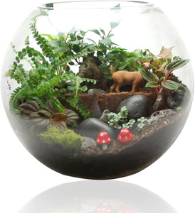 leechy Plain Round Glass Aquarium/Fish Bowl with free 200g multicolor ...