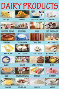 Kids Poster|Dairy Products Name Poster|Kids Educational Poster For Wall ...