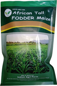IAgriFarm African Tall Maize/Fodder Maize/Makka (Zea Mays) Fodder Seeds ...