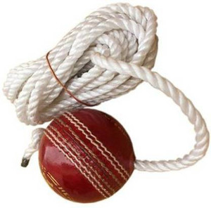 Kyrios Task Practice Leather Hanging Cricket Training Ball (Pack of 1 ...
