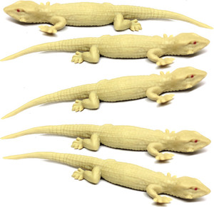 RVM Toys Set of 5 Fake Lizard House Gecko Rubber Practical Jokes and ...