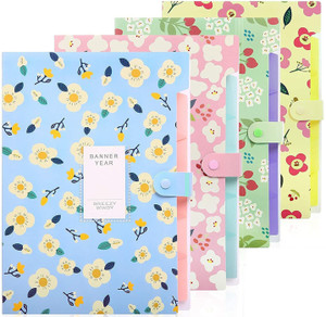 Flipkart.com | Afflatus Files Folders for Documents Certificates Holder ...