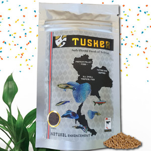 petish Tusker Premium Imported Tetra, Guppies , Betta , Goldfish & All ...