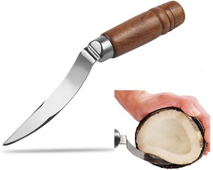 HASTHIP Stainless Steel Coconut Scraper, Coconut Shell Cutter, Coconut ...