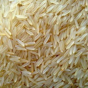Yumerica 100% Premium Quality 1509 Golden Basmati Rice Long Grain Rice ...