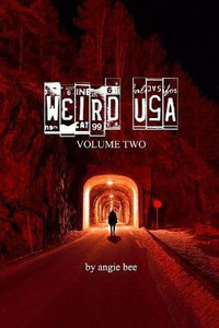 Weird, USA Vol. 2: Buy Weird, USA Vol. 2 by Bee Angie at Low Price in ...