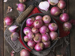 KANAYA Onion Red Kanda Vegetable Seed Price in India - Buy KANAYA Onion ...