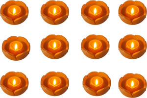CACTUS VARIETIES Terracotta (Pack of 12) Table Diya Price in India ...