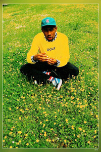 Tyler The Creator Tyler Gregory Okonma An American Rapper Record ...
