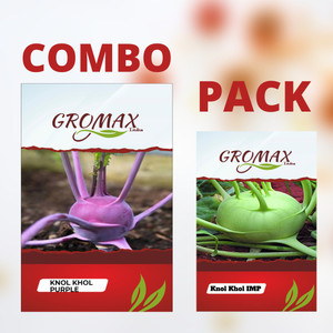Gromax India Fresh Khol Khol Purple ,Green Vegetable Seed, For Home ...