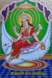 Goddess Brahmani Maa Religious Waterproof Vinyl Sticker Poster || (24 ...