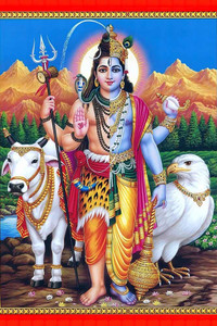 Britishterminal Lord Mahadev & Vishnu Religious Waterproof Vinyl ...