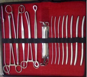 RPJ D And C Gynecology Surgical Instruments Silver Stainless Steel 410 ...