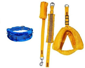 Sid Section Sidsection Export Quality Dog Blue Spike Collar & Yellow ...