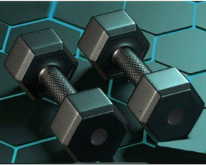 GOURAV PVC BLACK DUMBLE IN 4KG (2+2=4KG) Fixed Weight Dumbbell (4 kg ...