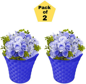 GTC Plant Container Set Price in India - Buy GTC Plant Container Set ...
