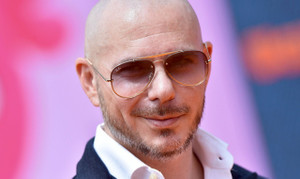 Pitbull American rapper Matte Finish Poster Paper Print - Personalities ...