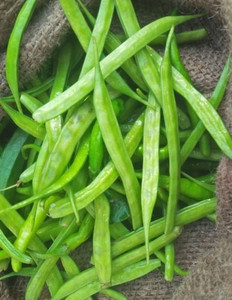 Paudha Organic Clusterbeans (guar) Seed Price in India - Buy Paudha ...