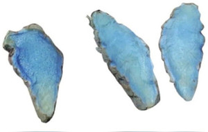 Pioneer Natural Black Turmeric, Nalla Pasupu, Kari Manjal, Kaalo Haledo ...