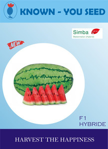 krishnas simba watermelon fruit hybrid seeds Seed Price in India - Buy ...