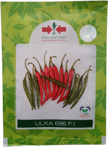 KRISHNA ulka 686 MIRCH chilli vegetable hybrid seeds Seed Price in ...