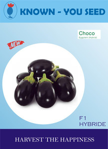 KRISHNA CHOCHO brinjal vegetable hybrid seeds Seed Price in India - Buy ...