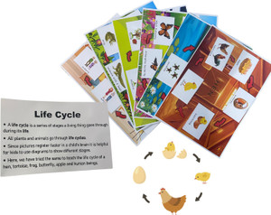 NODDY KINGDOM I AM ME Life Cycle Activity Kit Price in India - Buy ...